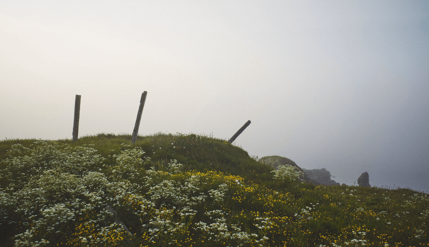 Allt í samt lag eftir faraldur – PiparTBWA